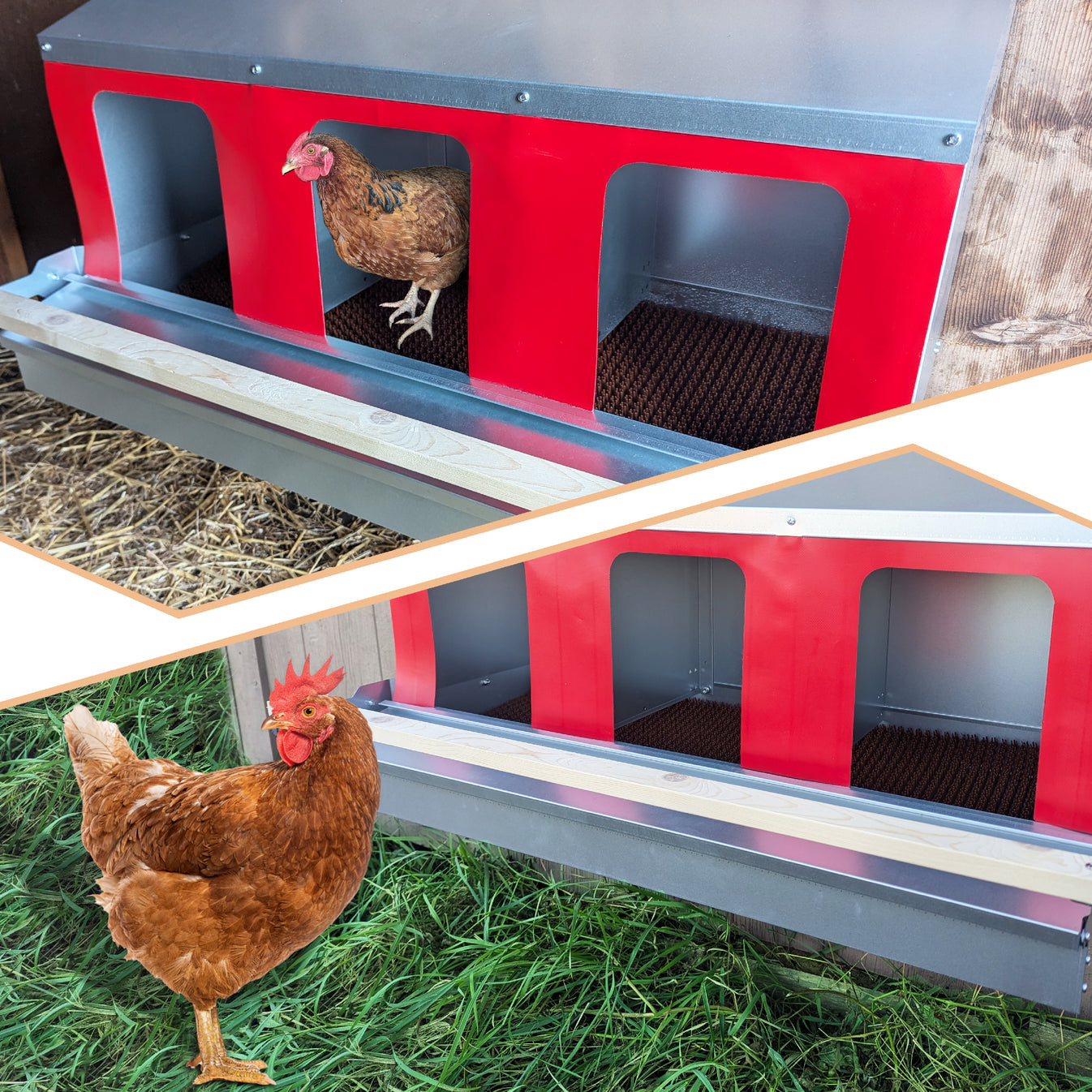 Hen's Choice™ - Roll Out Chicken Nest Box | Reversible | 3 Compartment ...